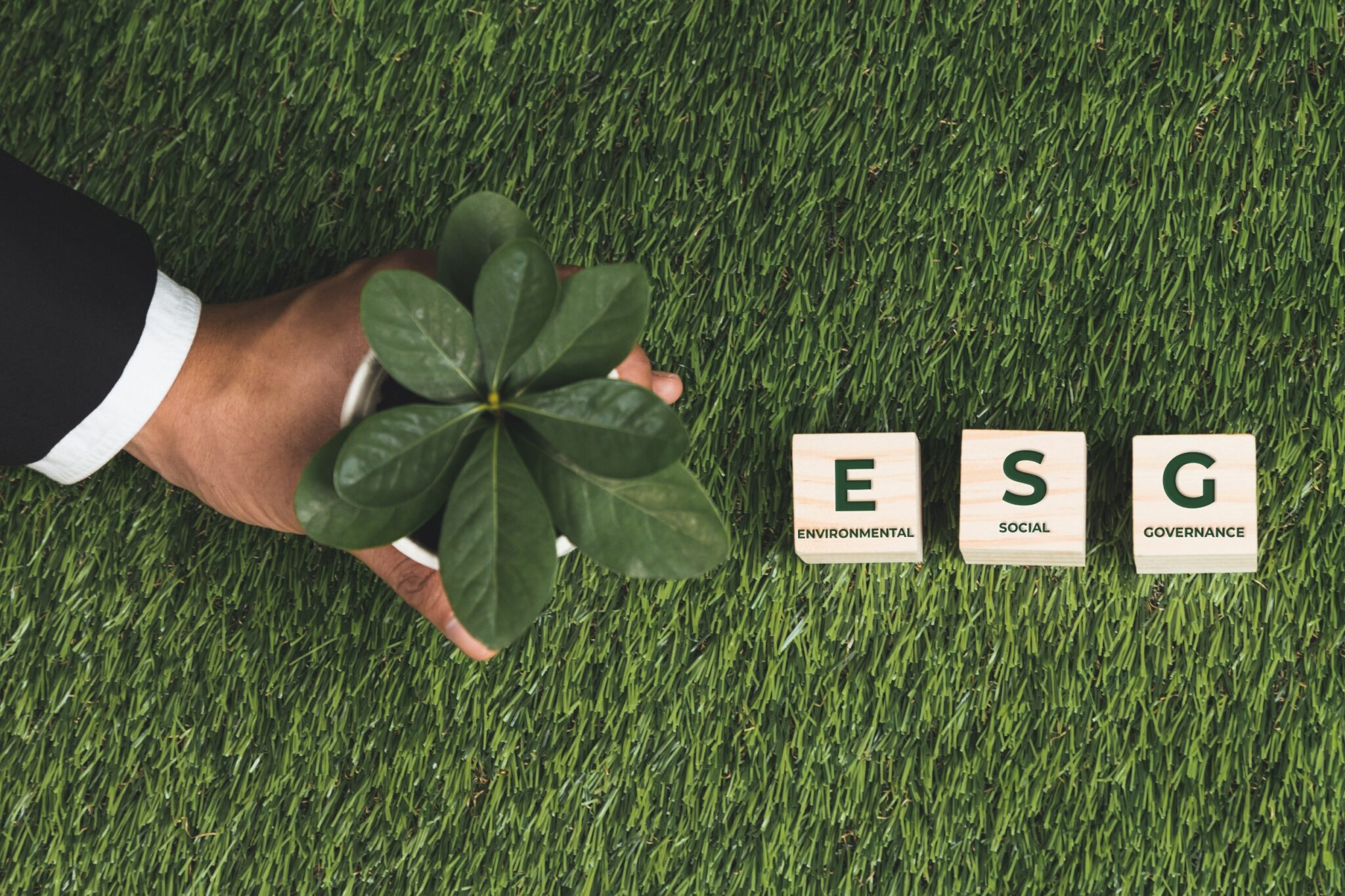 Are you ready for HR’s increasingly significant ESG role? - HRM Asia