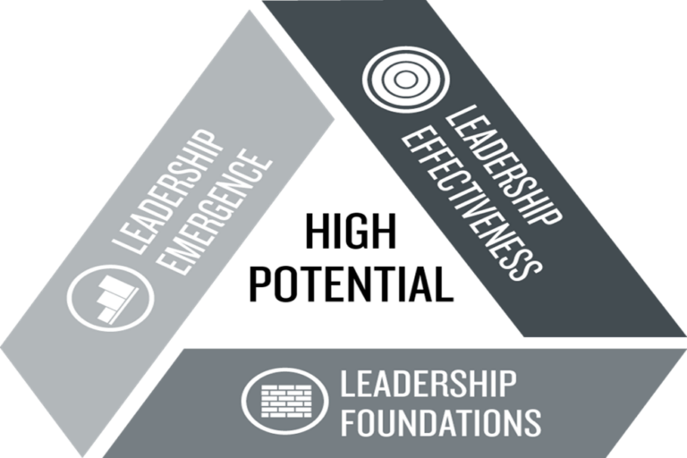 Uncovering future leaders: A fresh framework for high-potential talent ...